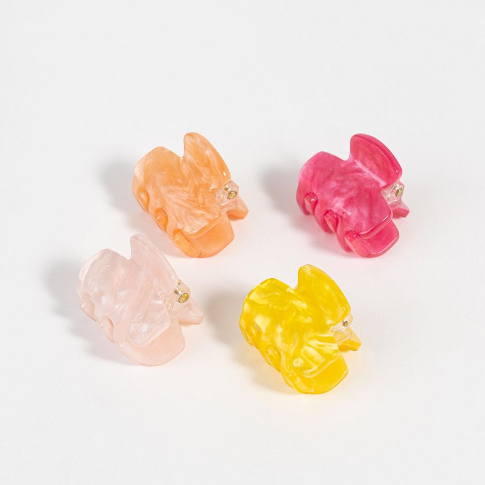 Kit Piranhas Pequenas Básicas - Todomoda